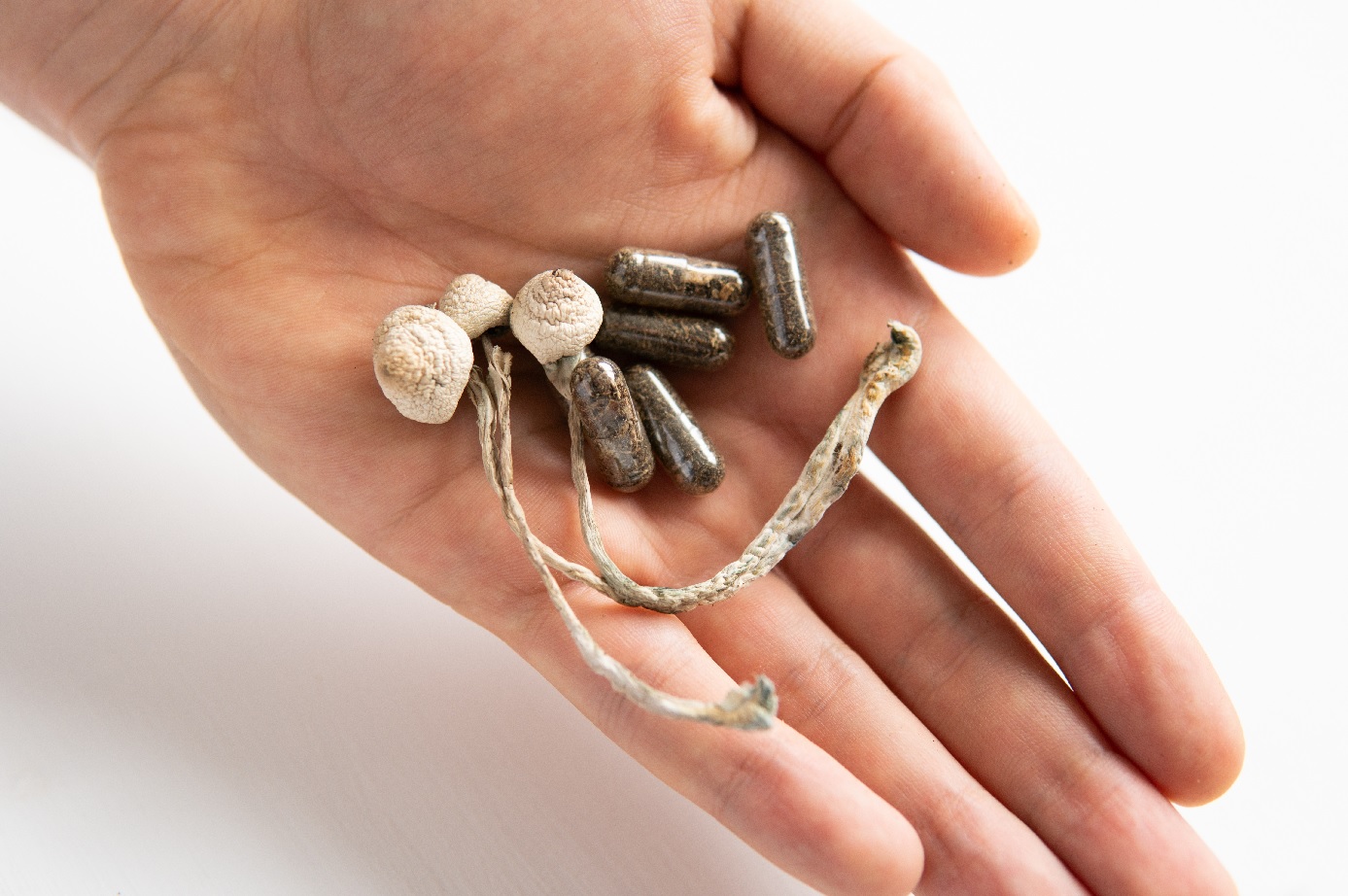 Psilocybin til behandling af depression | Ugeskriftet.dk