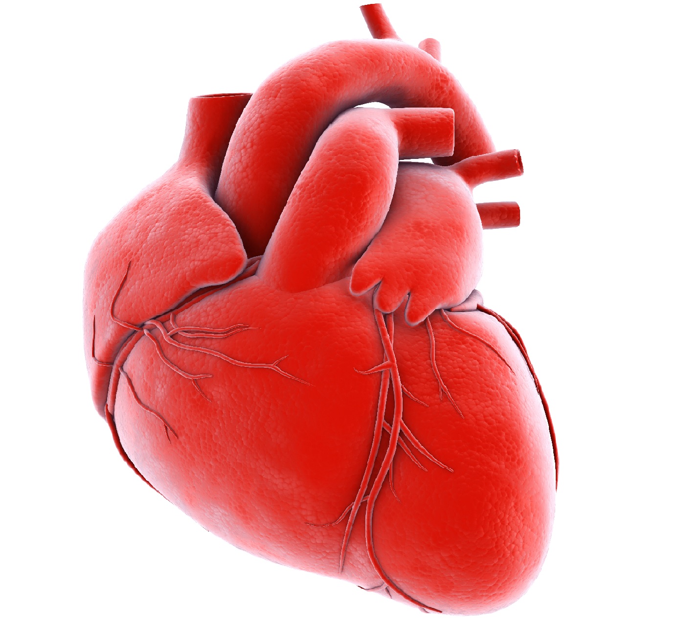 Semaglutid til hjertesvigtspatienter med bevaret systolisk venstre ...