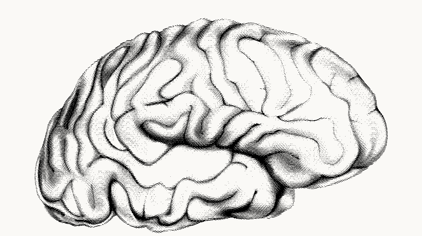 ADHD fra et almenmedicinsk perspektiv | Ugeskriftet.dk