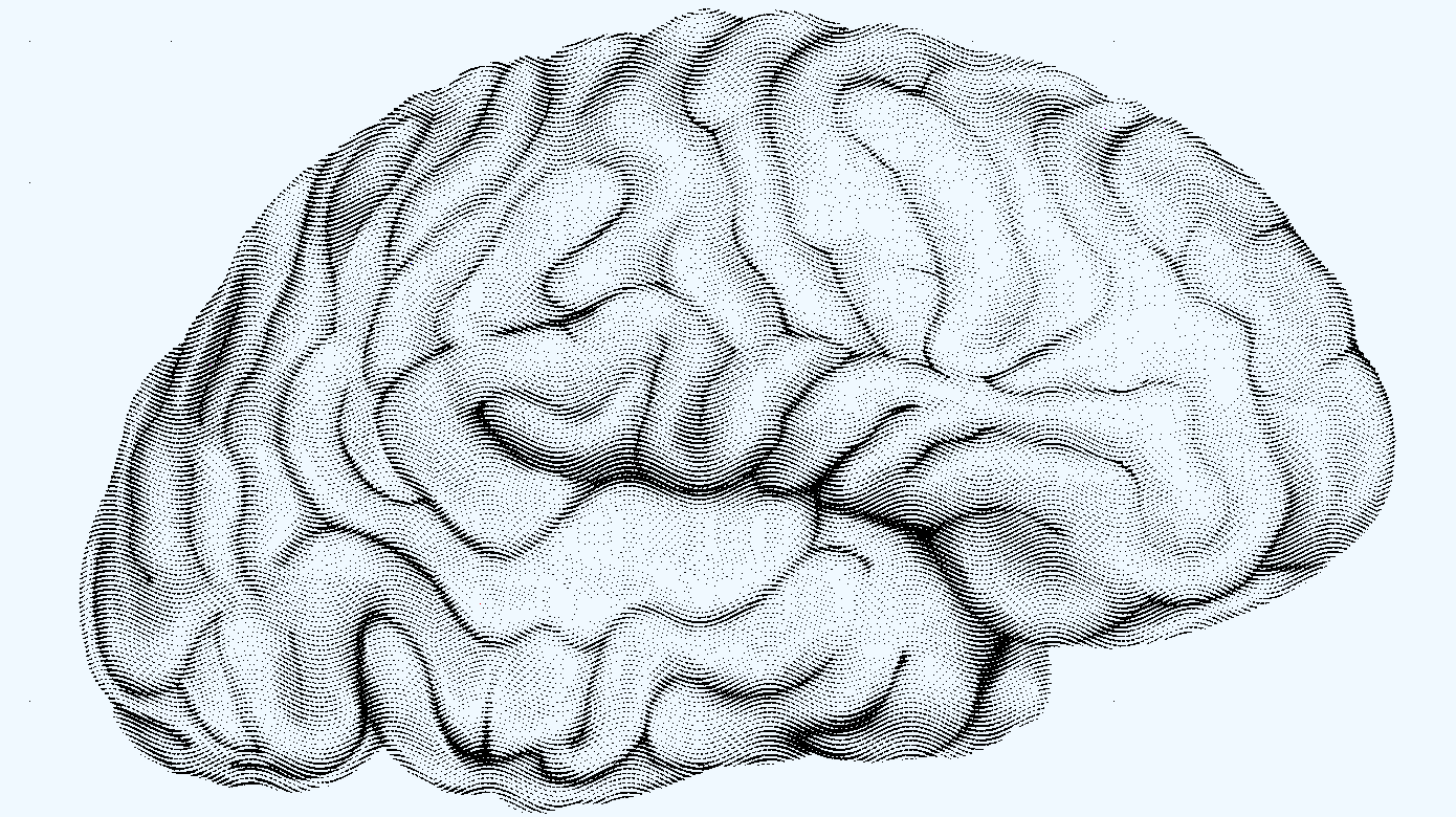 Hjerne Png Previously Mysterious Part Of The Brain Influences Sleep,