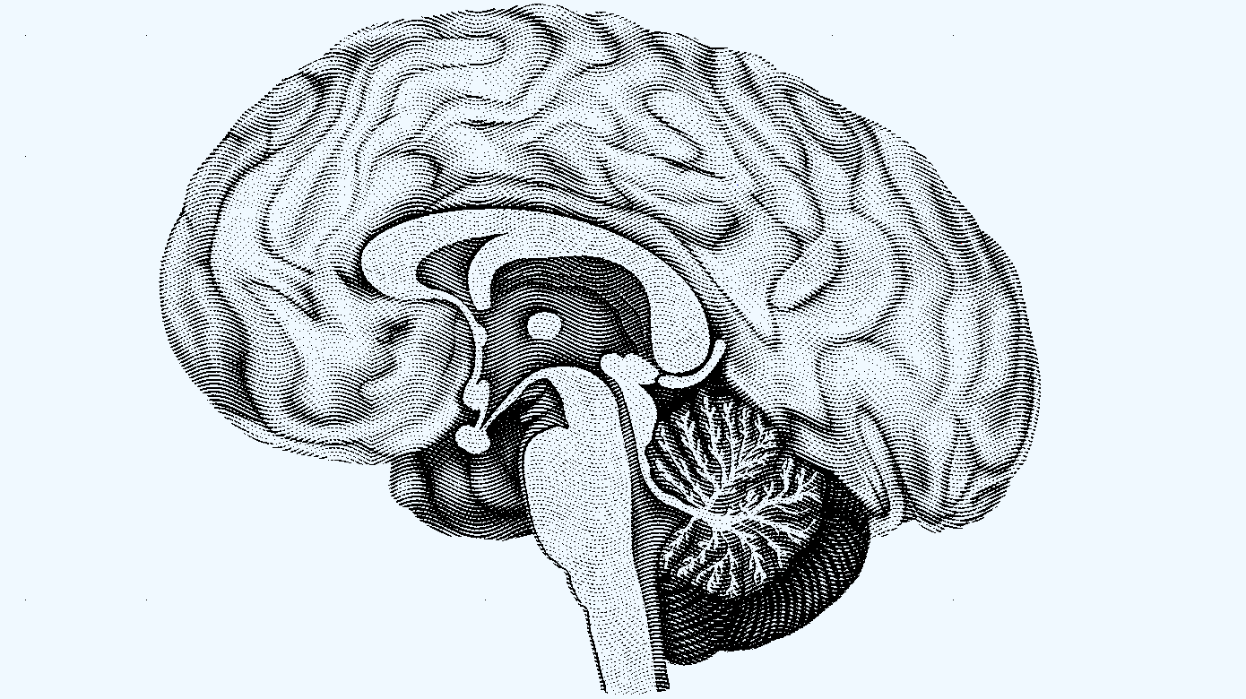 Ny evidens inden for behandling af akut hjerneskade | Ugeskriftet.dk