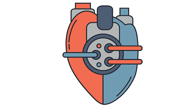 Hjerte Kontur Vektor Vector — Arte