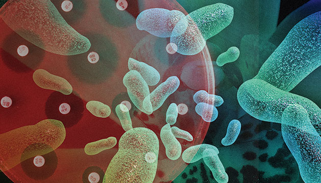 Multiresistente bakterier truer akutafdelinger | Ugeskriftet.dk