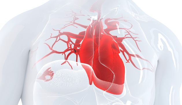 Subclinical hyperthyroidism is associated with atrial fibrillation and ...