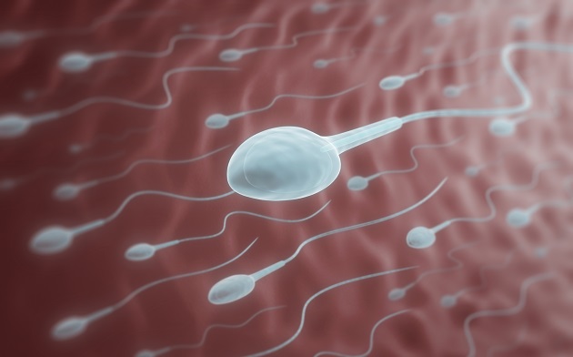 Behandlingsmuligheder ved mandlig infertilitet | Ugeskriftet.dk