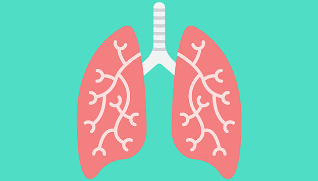 Fra grundforskning til effektiv behandling af cystisk fibrose ...