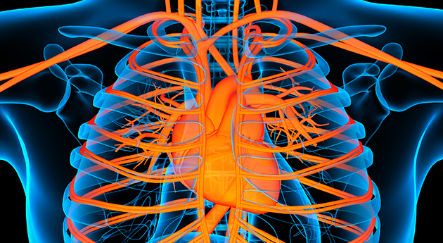 Danske registre bidrager med ny viden om langtidsrisiko for hjerte-kar ...